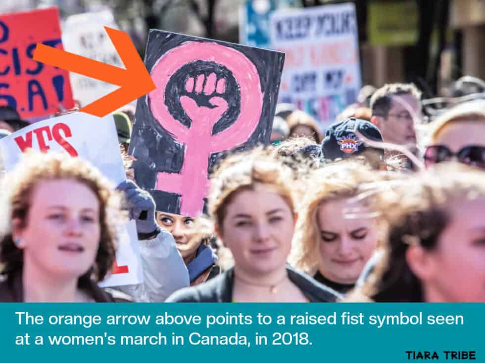 Raised Fist Emoji: A Symbol of Strength and Unity - Tiara Tribe