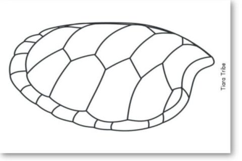 Sea turtle coloring pages | Tiara Tribe